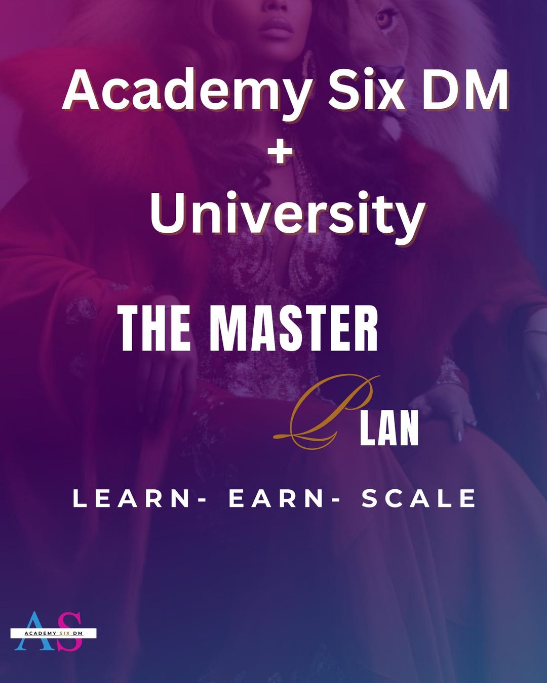 Academy Six Dm+university/mrr/sales Funnel/1xfee/lifetime Access ...