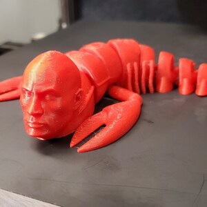 The Rock Lobster | Multiple Colors Available |3D Printed Today to ...