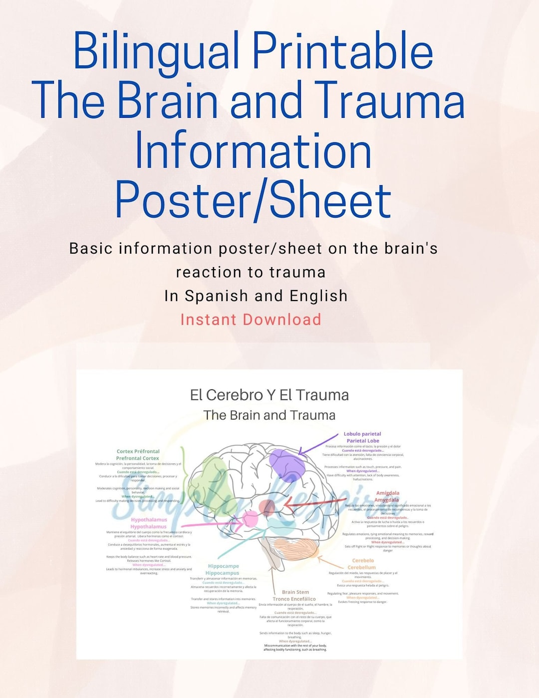El Cerebro Y El Trauma/ the Brain and Trauma (PTSD) - Etsy