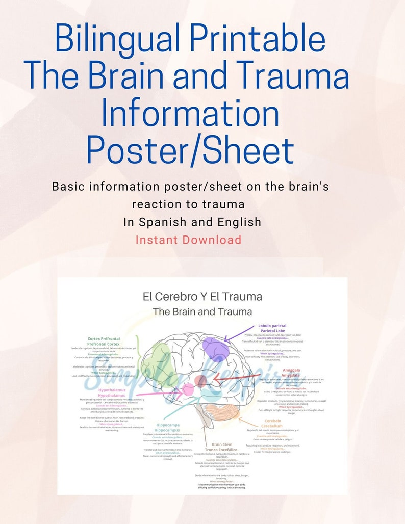 El Cerebro Y El Trauma/ the Brain and Trauma (PTSD) - Etsy