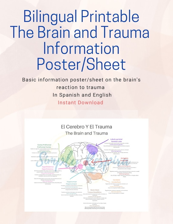 El Cerebro Y El Trauma/ the Brain and Trauma PTSD - Etsy Hong Kong
