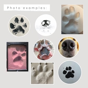 Custom Paw and Nose Print From Photo | Dog and Cat Paw Print Memorial ...