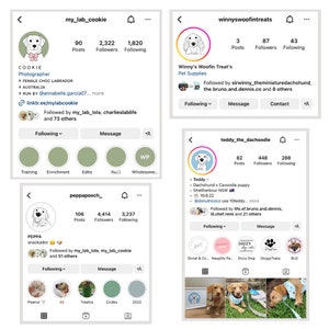 Custom Instagram Dog Profile Picture Drawing From Photo Dog Instagram ...