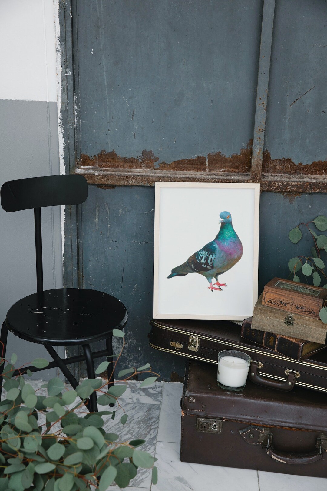 Pigeon Art Print, Pigeon Wall Art, Bird Art, Wall Art, Pigeon Gift - Etsy