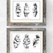 Paleolithic Venus Poster, Venus of Willendorf Illustration, Art History ...