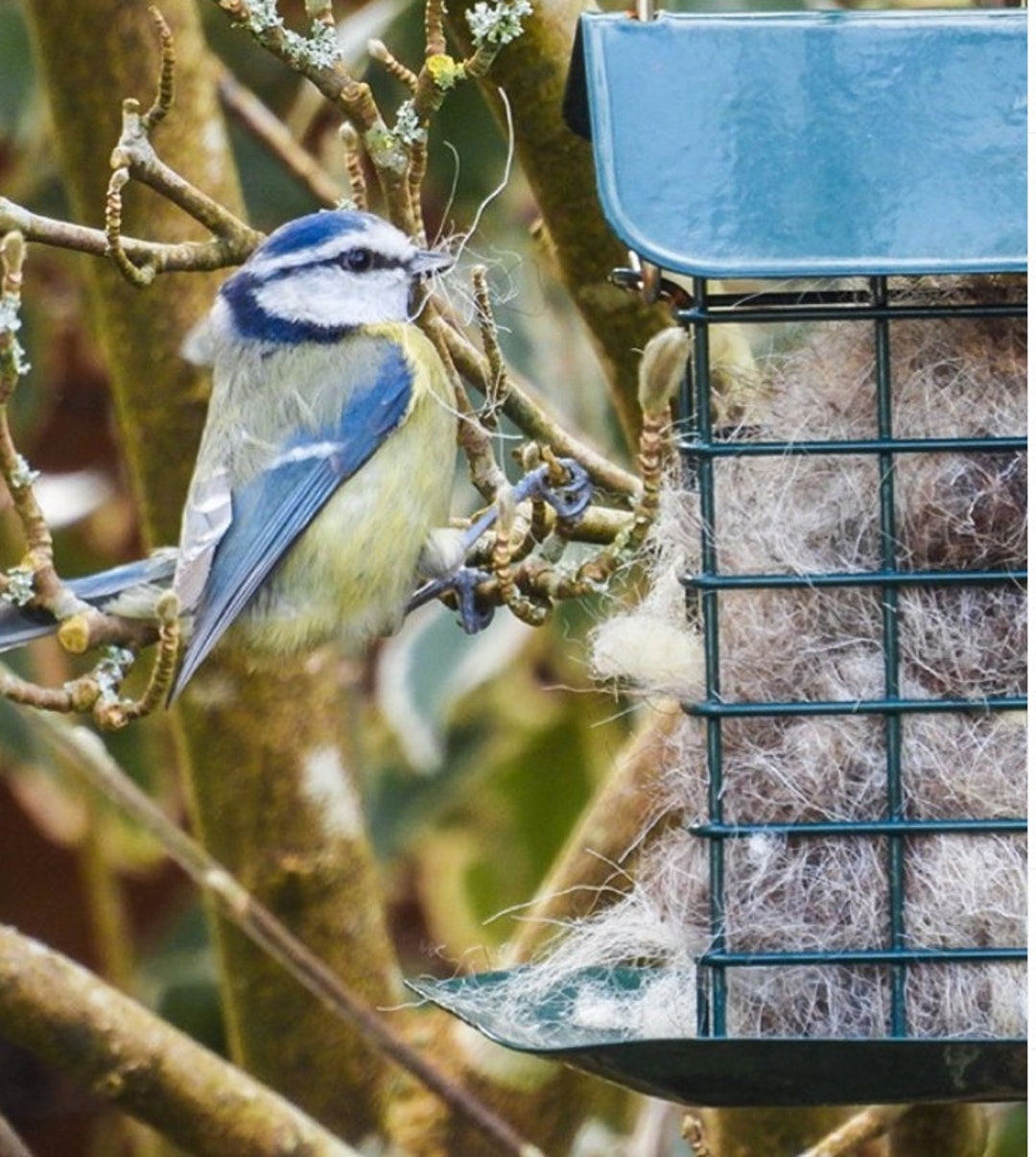 Alpaca Bird Nesting Material Bag -100% Natural Alpaca Wool for Nesting ...