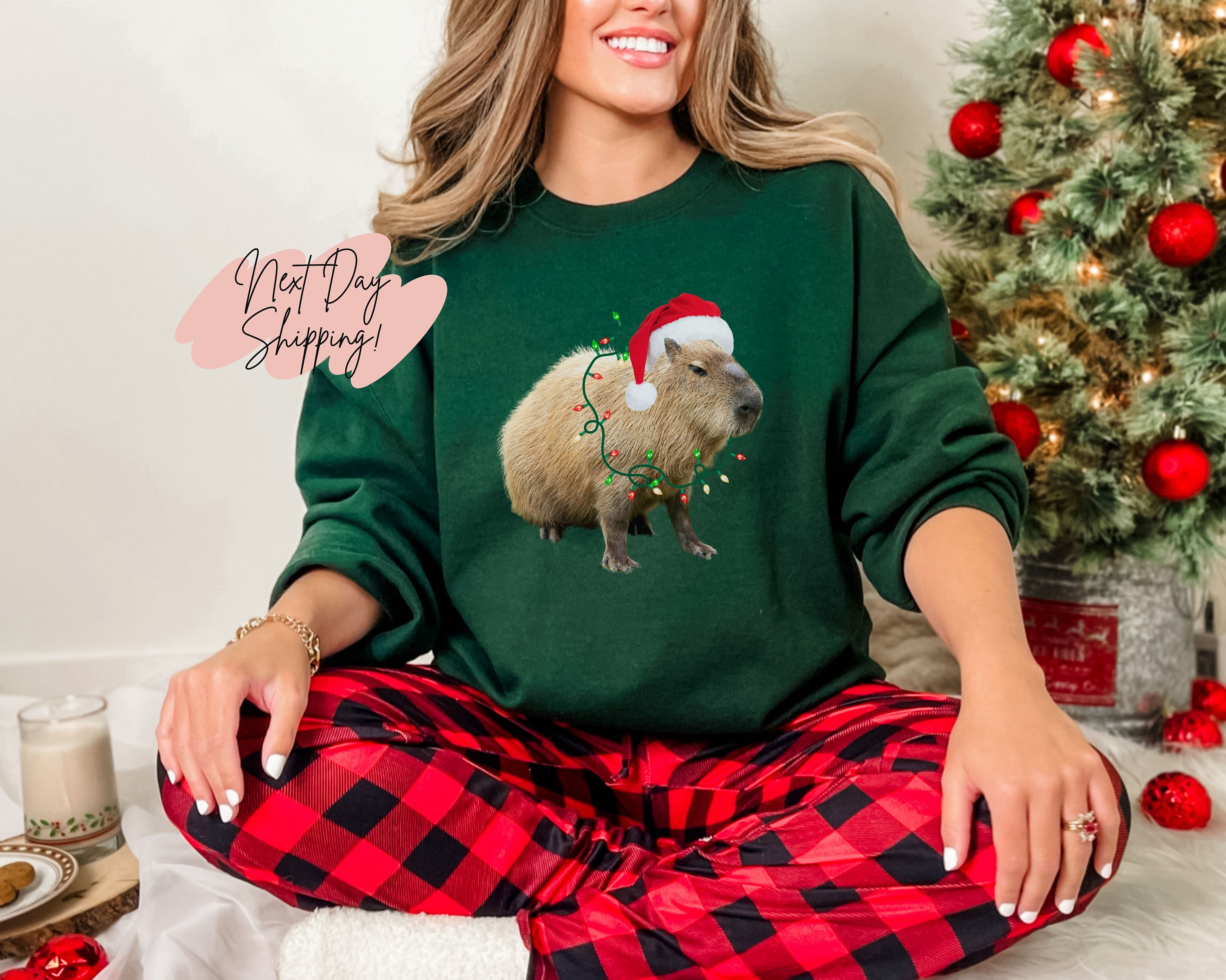 Capybara Christmas Sweater, Cappy Christmas Lights. Capy Holiday Hoodie ...
