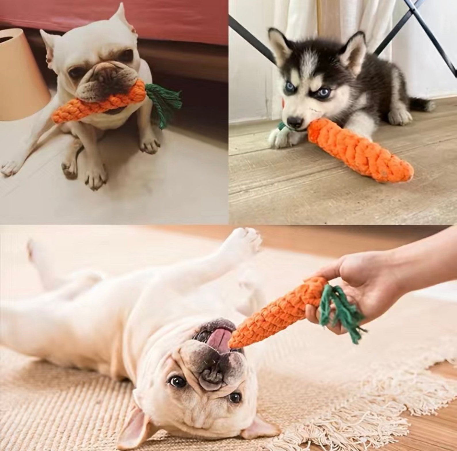 Rope Carrot Dog Toy Rope Dog Toy Easter Toy for Dog Carrot Toy for Dog ...