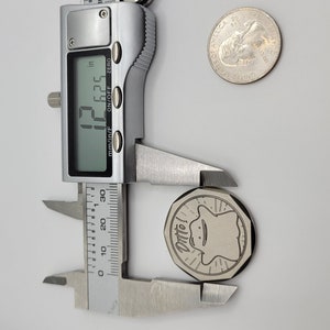 Ditto Sus Pikachu Pokemon Flip Coin - Etsy