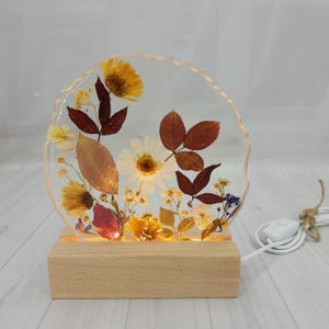 Aesthetic Pressed Flowers Night Light, Epoxy Night Light, Nature Stand ...