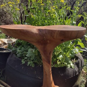 Amazing Small Wood Side Table, Accent Table, Nightstand or Plant Stand ...