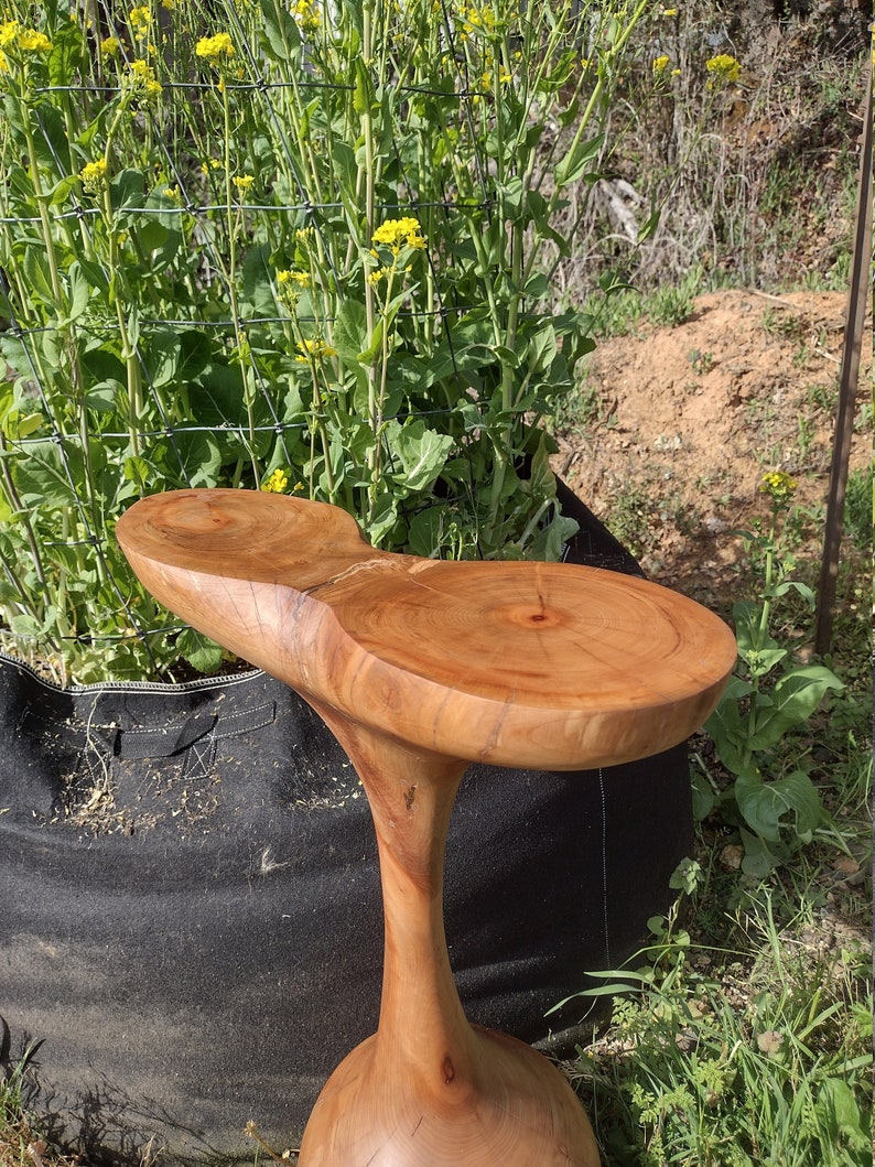 Amazing Small Wood Side Table, Accent Table, Nightstand or Plant Stand ...