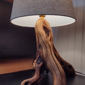 Extremely Rare, One of a Kind! Rustic Tree Branch Table Lamp for ...