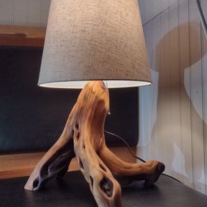 Extremely Rare, One of a Kind! Rustic Tree Branch Table Lamp for ...