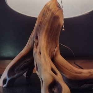 Extremely Rare, One of a Kind! Rustic Tree Branch Table Lamp for ...
