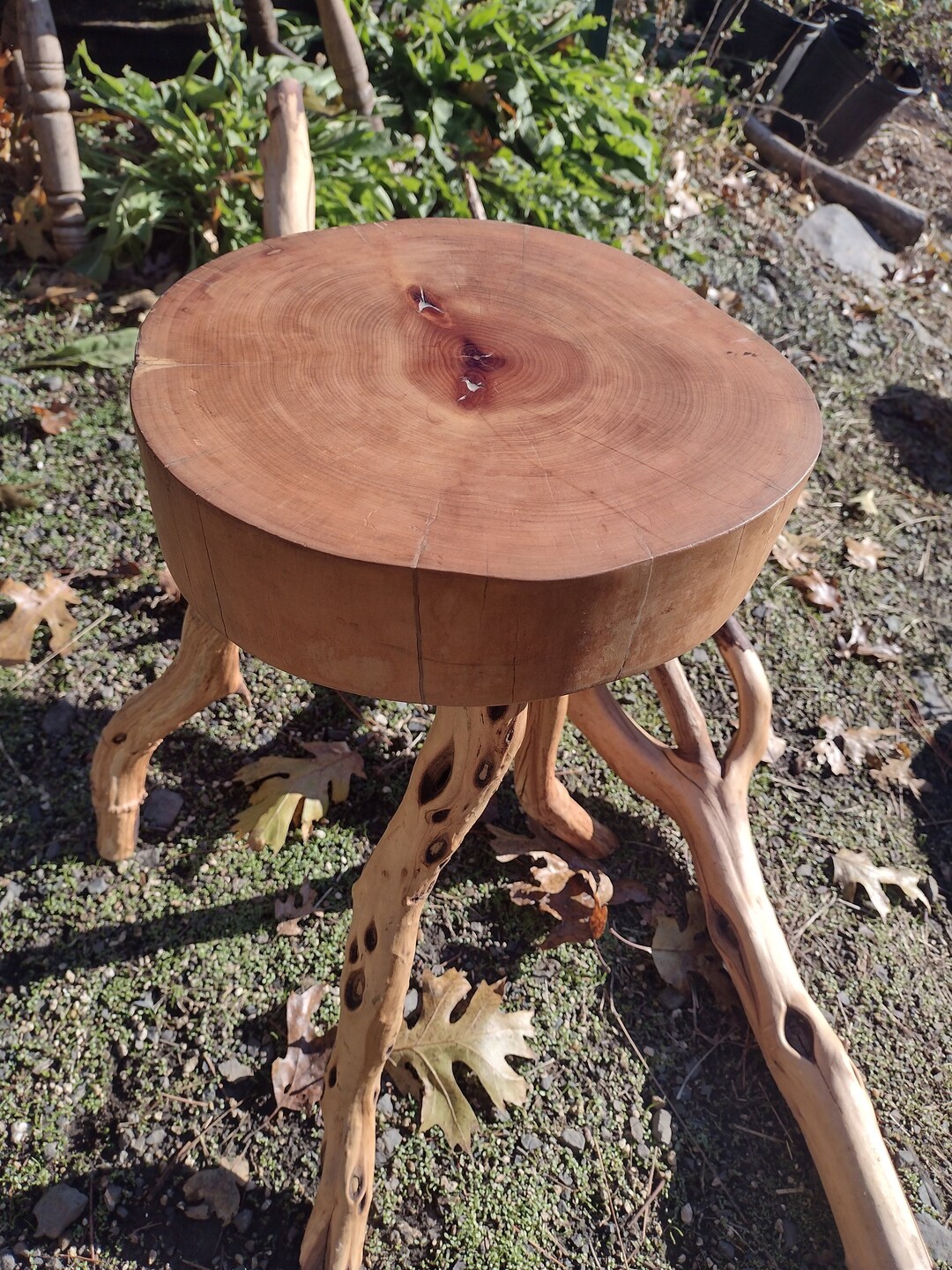 Live Edge Rustic Stool or Side Table - Etsy