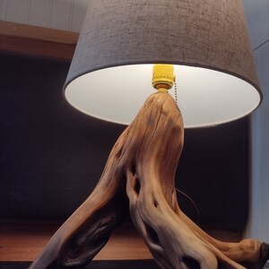 Extremely Rare, One of a Kind! Rustic Tree Branch Table Lamp for ...