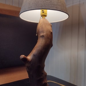 Beautiful Log Lamp, Tree Branch Table Lamp - Etsy