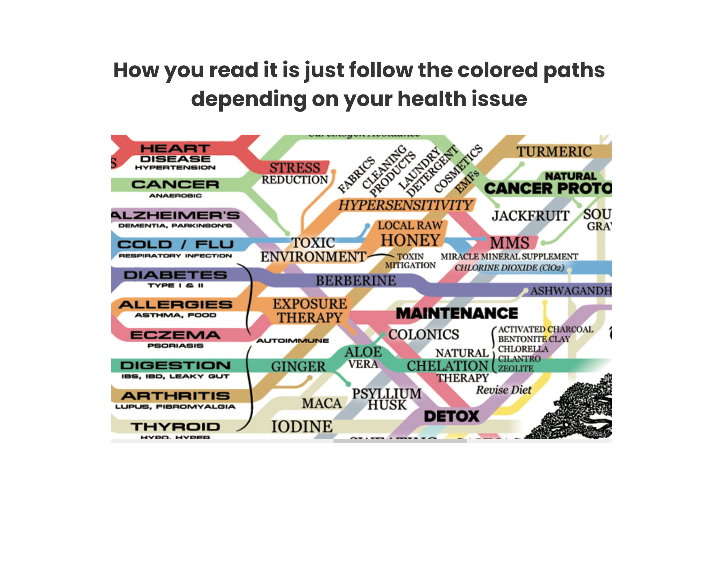 The Healing Web Chart (worldwide) LARGE ORIGINAL Printable 2 Pages High ...