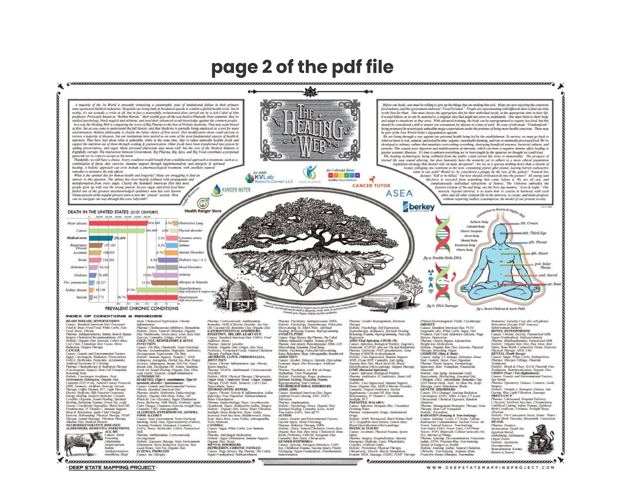 The Healing Web Chart (worldwide) LARGE ORIGINAL Printable 2 Pages High ...