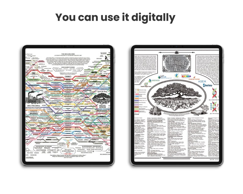 The Healing Web Chart (worldwide) LARGE ORIGINAL Printable 2 Pages High ...