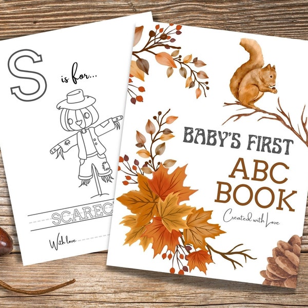 Baby Alphabet Book - Etsy