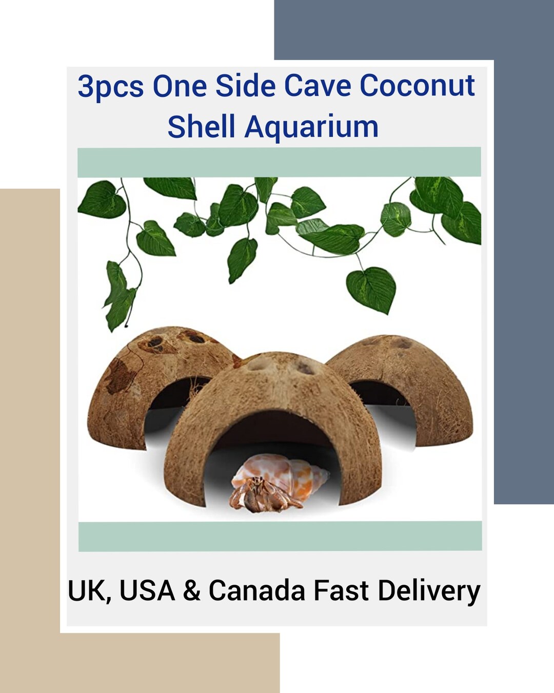 3 Set Coconut Shell Cave for Aquarium & Terrariums, Hideouts for ...