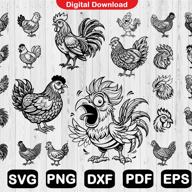 Chicken Svg - Etsy