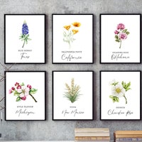 State Flowers Poster, Flowers of North America, Flowers of the United ...