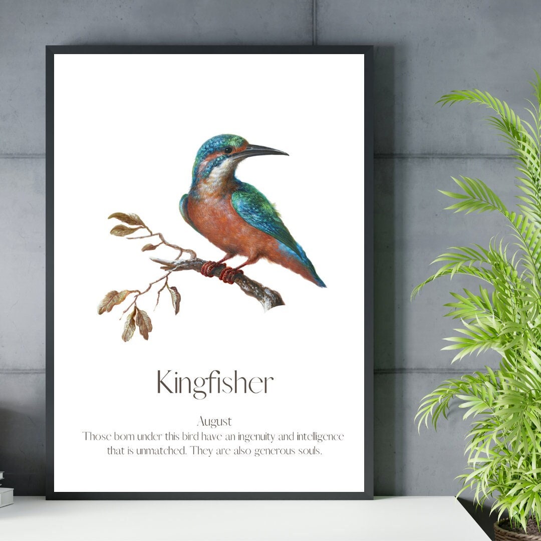 August Bird Art Print Kingfisher Bird Month Print Birth Month Bird Art ...