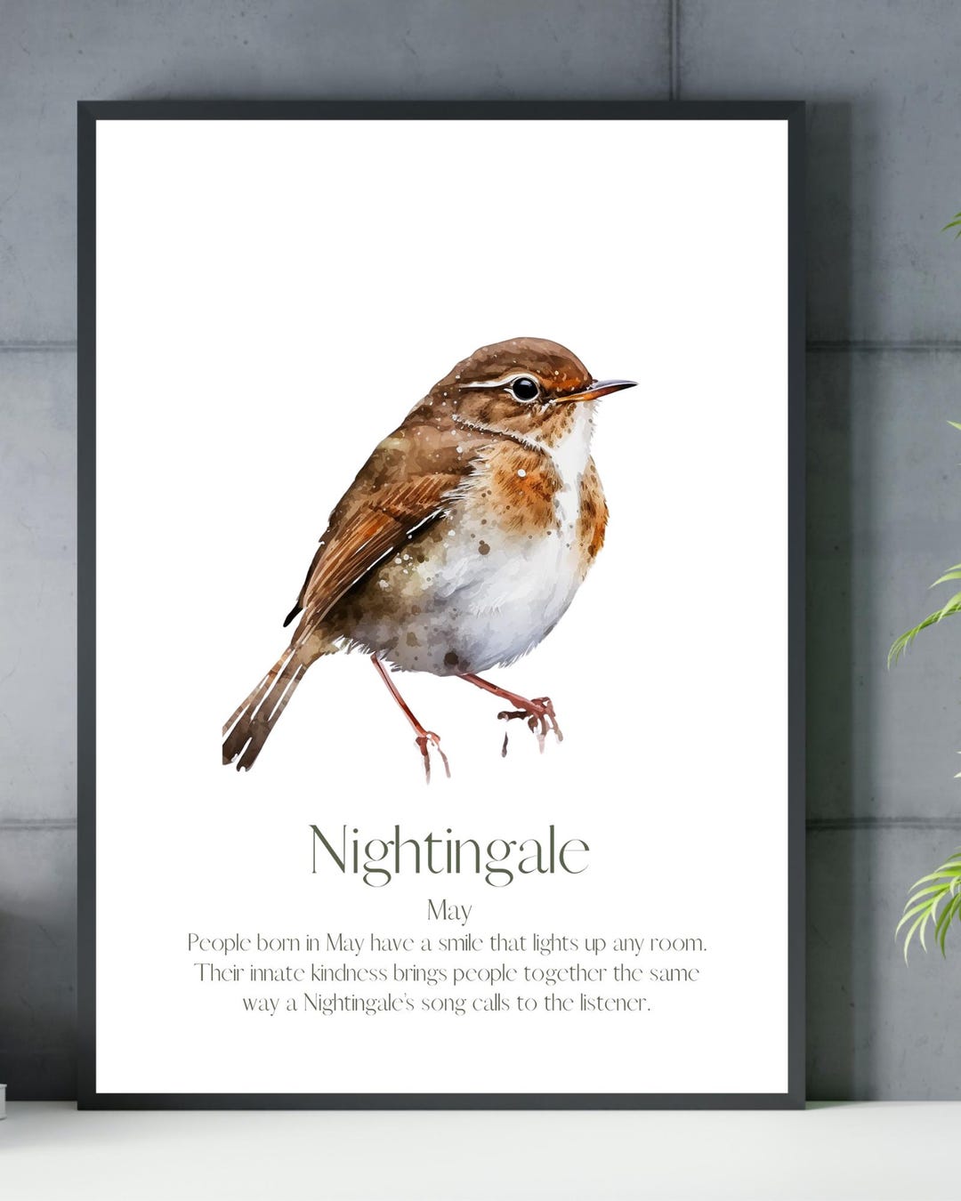 May Bird Art Print Nightingale Bird Month Print Birth Month Bird Art ...