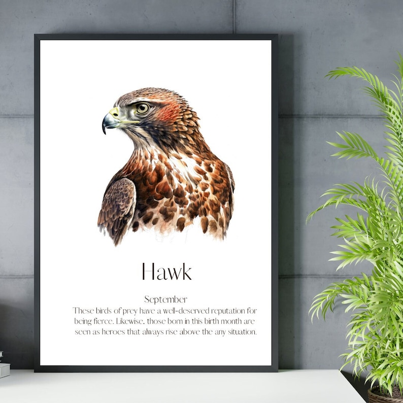 September Bird Art Print Hawk Bird Month Print Birth Month Bird Art ...