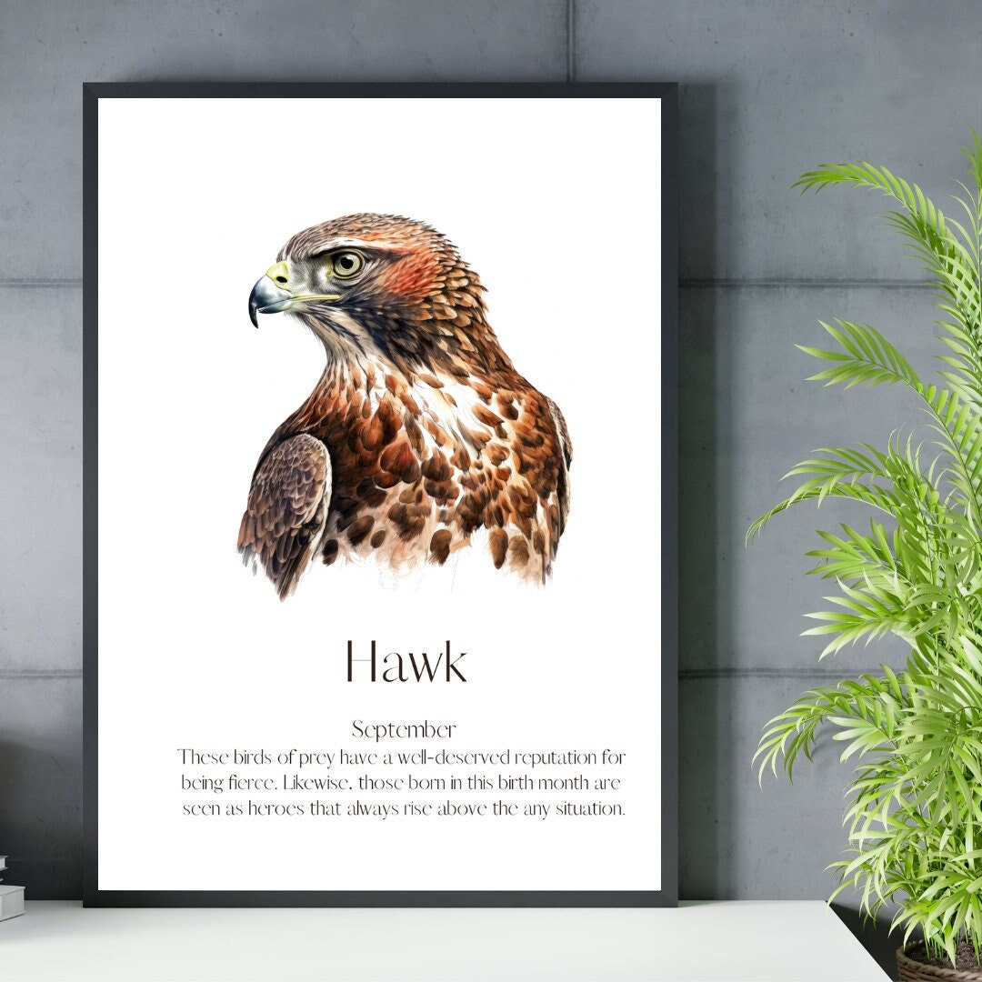 September Bird Art Print Hawk Bird Month Print Birth Month Bird Art ...