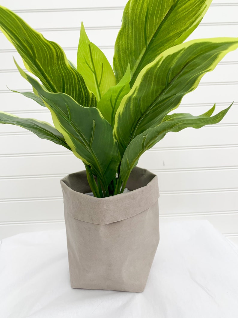 Kraft Paper Plant Bags for Plants Paper Bag Storage Containers Plant ...