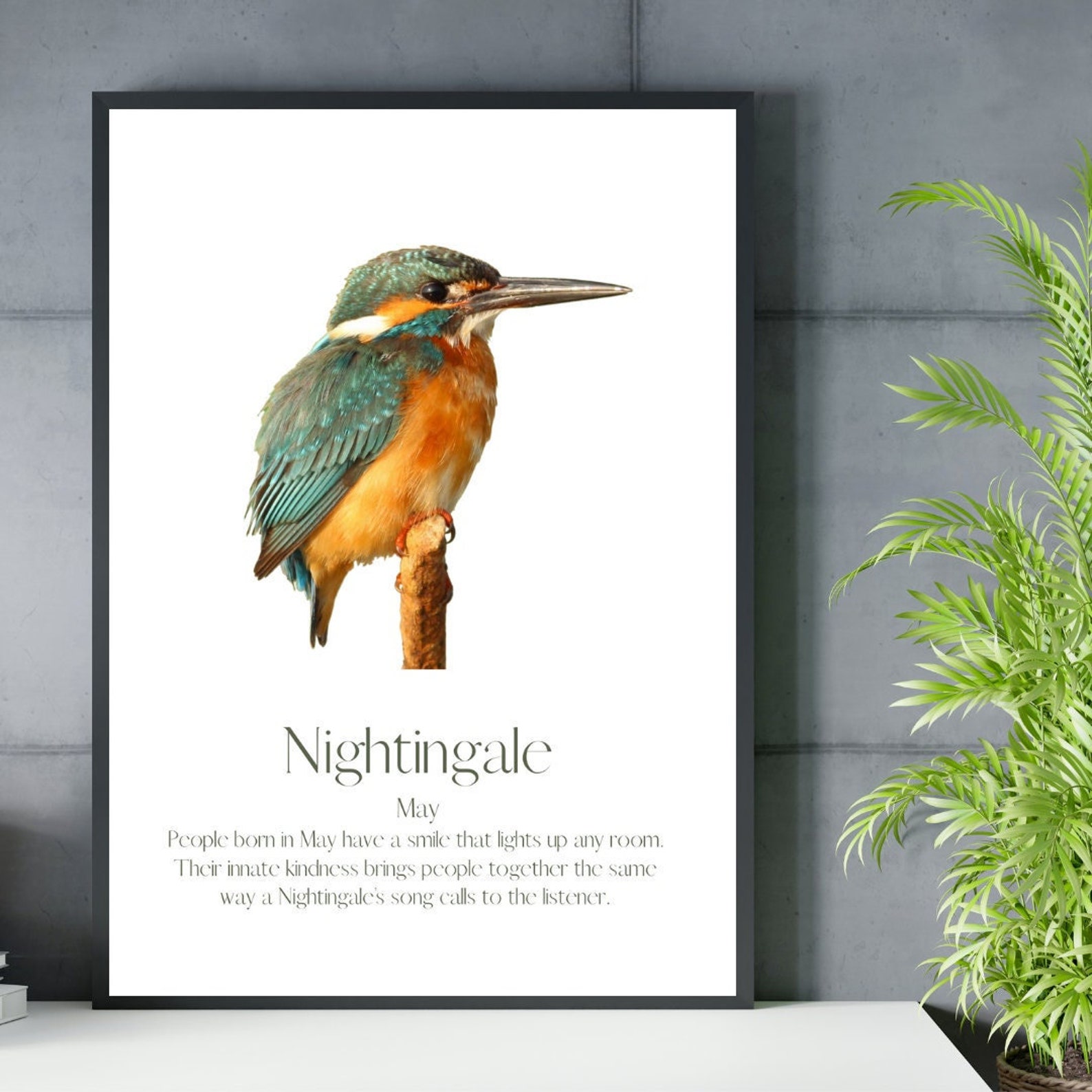 May Bird Art Print Nightingale Bird Month Print Birth Month Bird Art ...