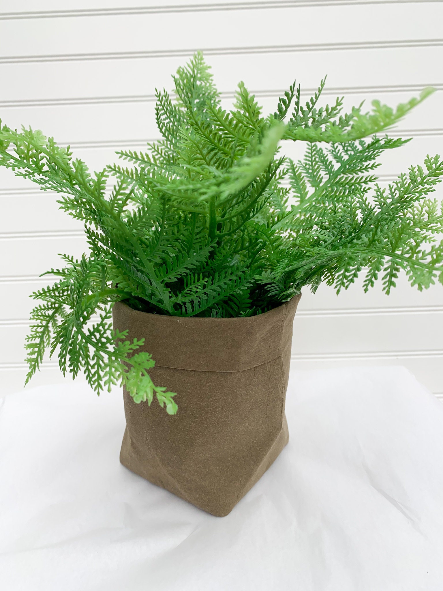 Kraft Paper Plant Bags for Plants Paper Bag Storage Containers Plant ...