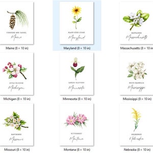 State Flower Wall Art Prints Flower Wall Decor State Flower Print State ...