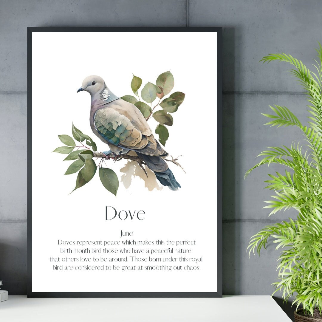 June Bird Art Print Dove Bird Month Print Birth Month Bird Art Bird ...