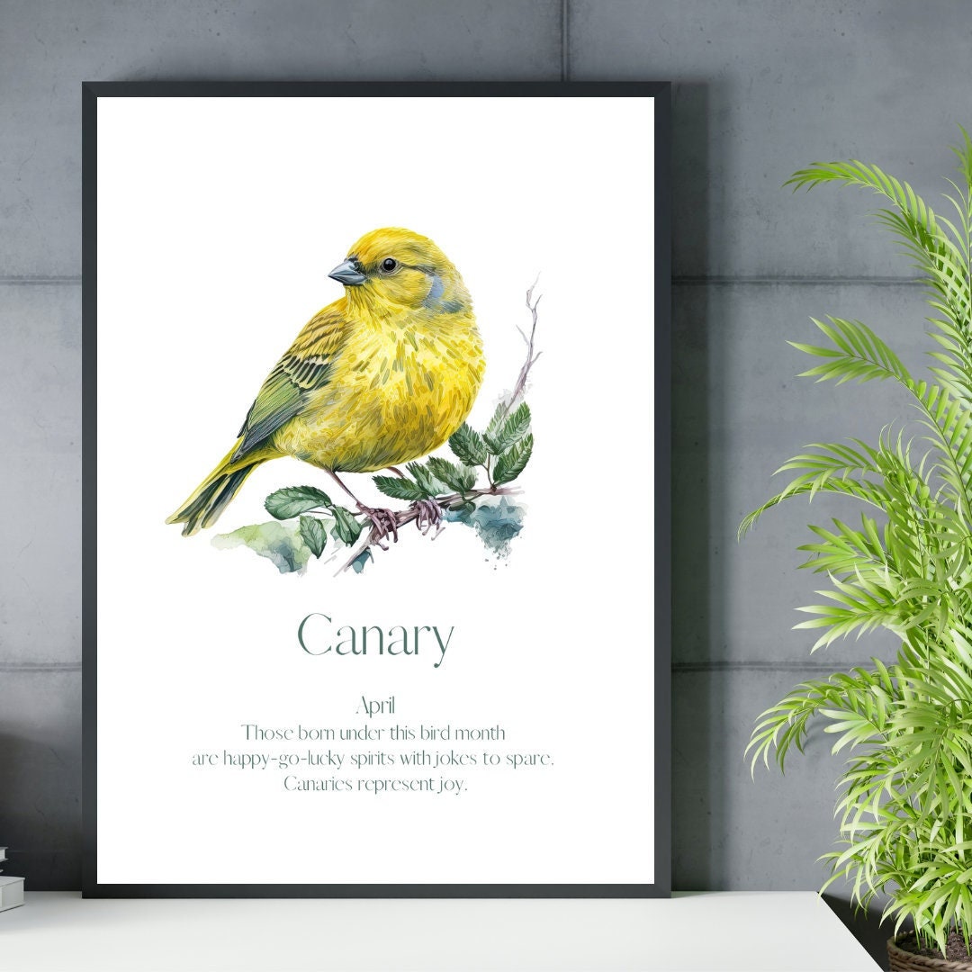 April Bird Art Print Canary Bird Month Print Birth Month Bird Art Bird ...