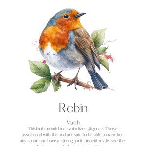 March Bird Art Print Robin Bird Month Print Birth Month Bird Art Bird ...