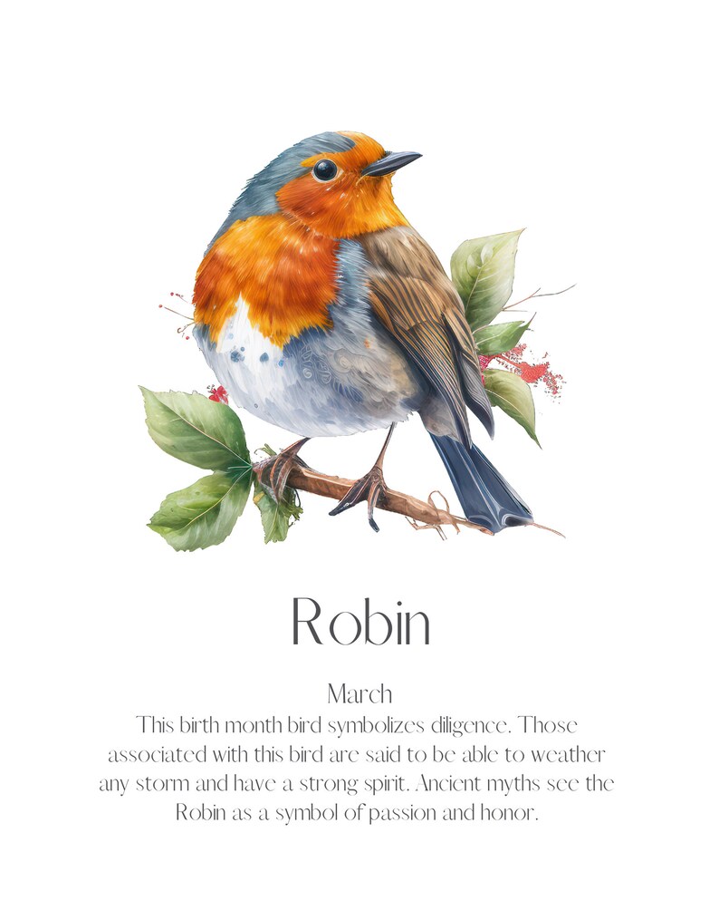 March Bird Art Print Robin Bird Month Print Birth Month Bird Art Bird ...