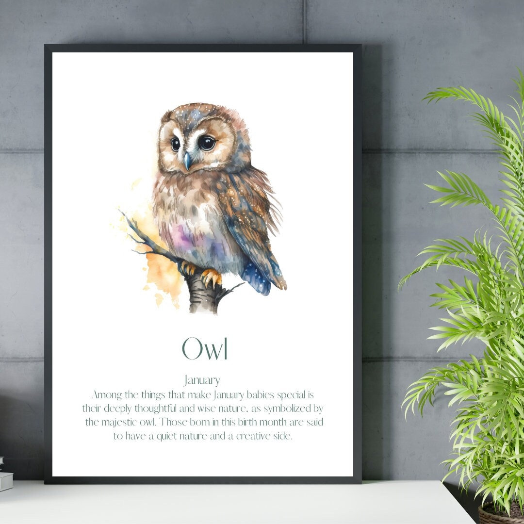 January Owl Bird Month Wall Art Print January Bird Month Print Birth ...