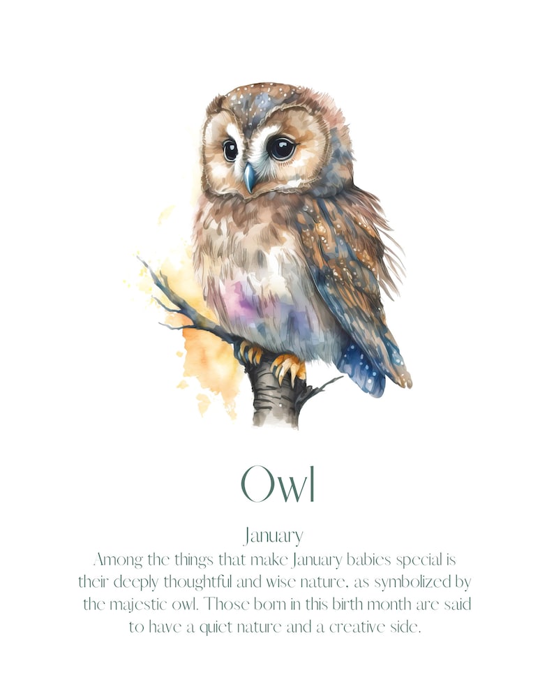 January Owl Bird Month Wall Art Print January Bird Month Print Birth ...
