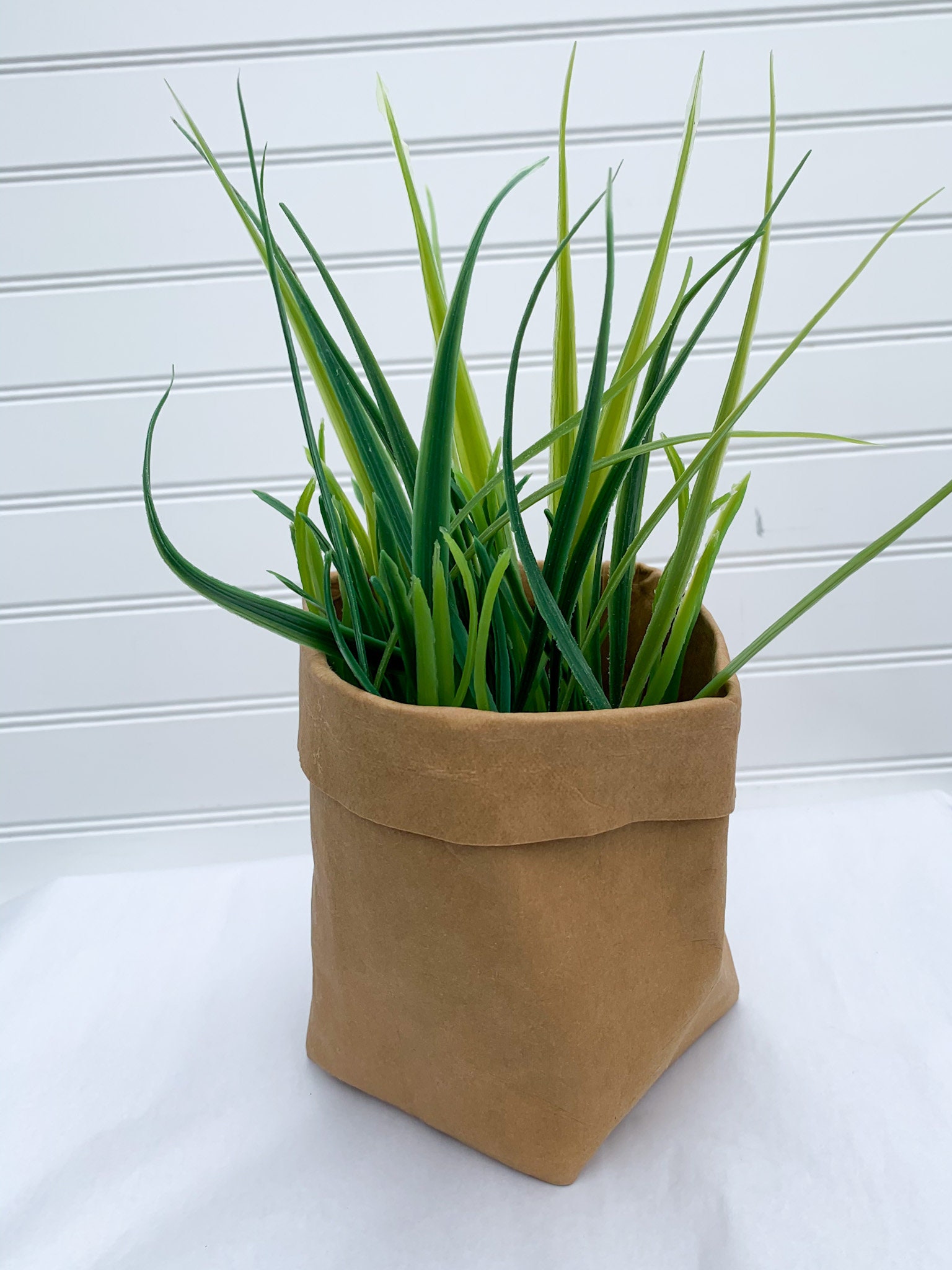 Kraft Paper Plant Bags for Plants Paper Bag Storage Containers Plant ...