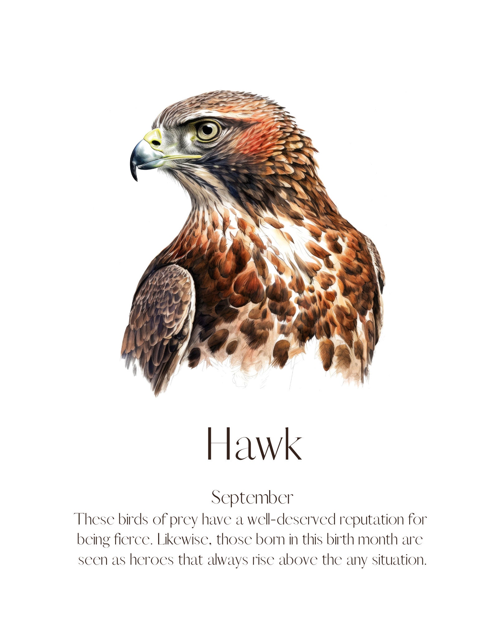 September Bird Art Print Hawk Bird Month Print Birth Month Bird Art ...