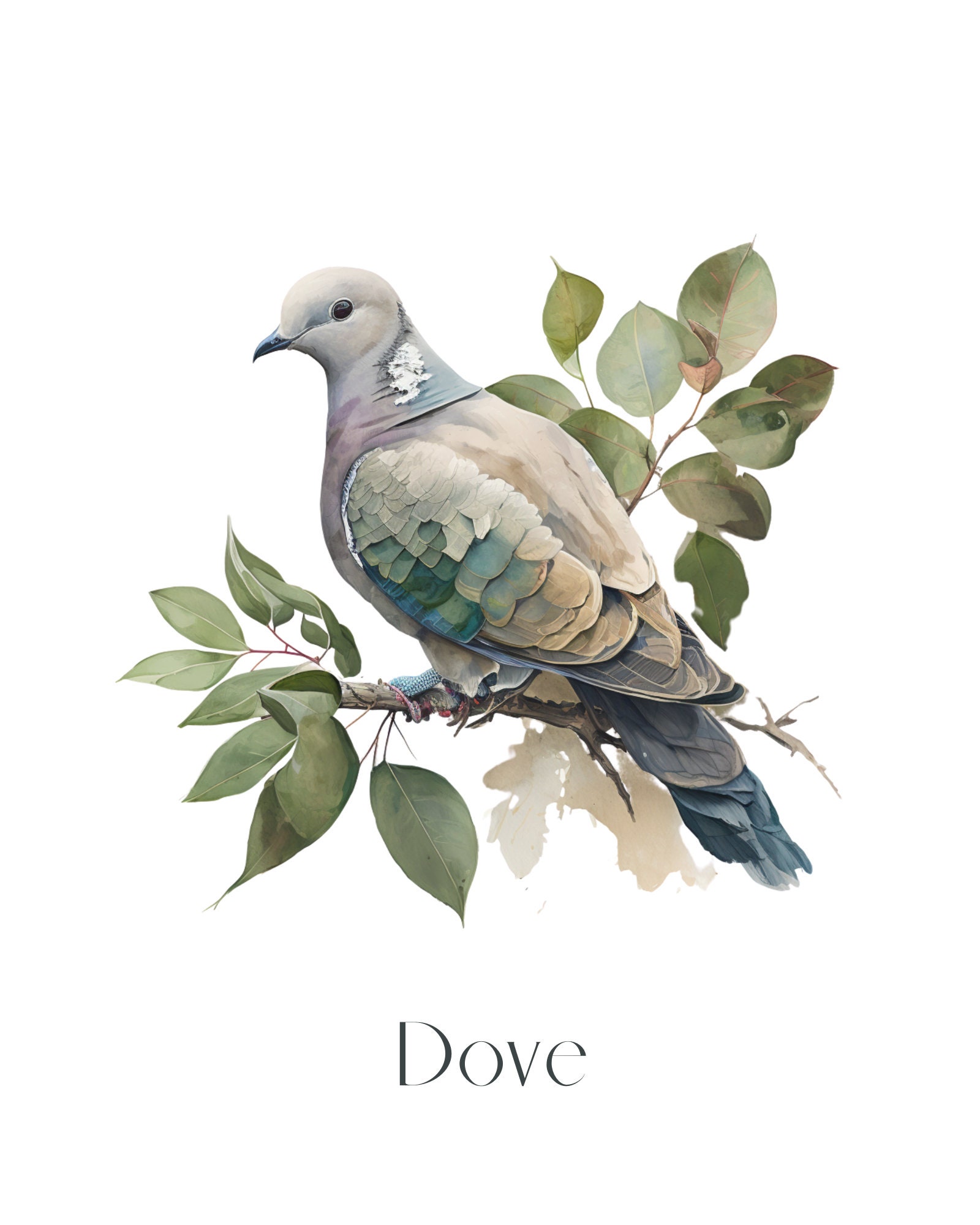 Dove Art Print Dove Wall Art Birthday Symbol Print Birthday Month Gift ...