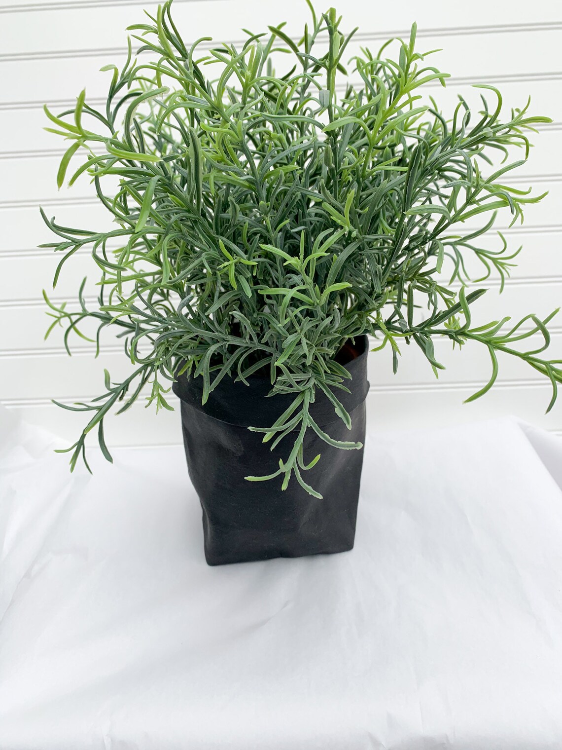 Kraft Paper Plant Bags for Plants Paper Bag Storage Containers Plant ...