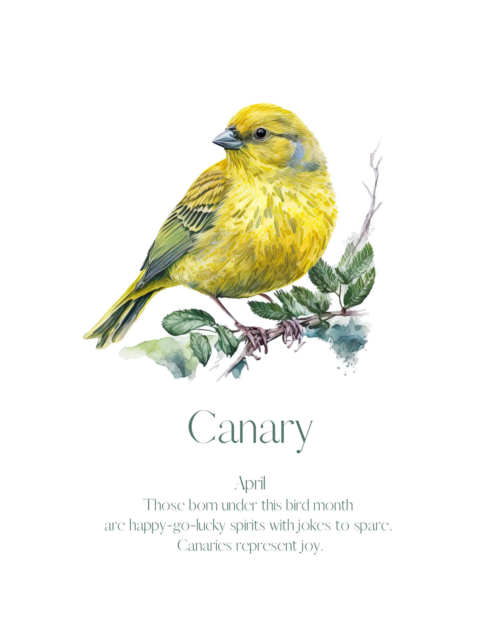 April Bird Art Print Canary Bird Month Print Birth Month Bird Art Bird ...