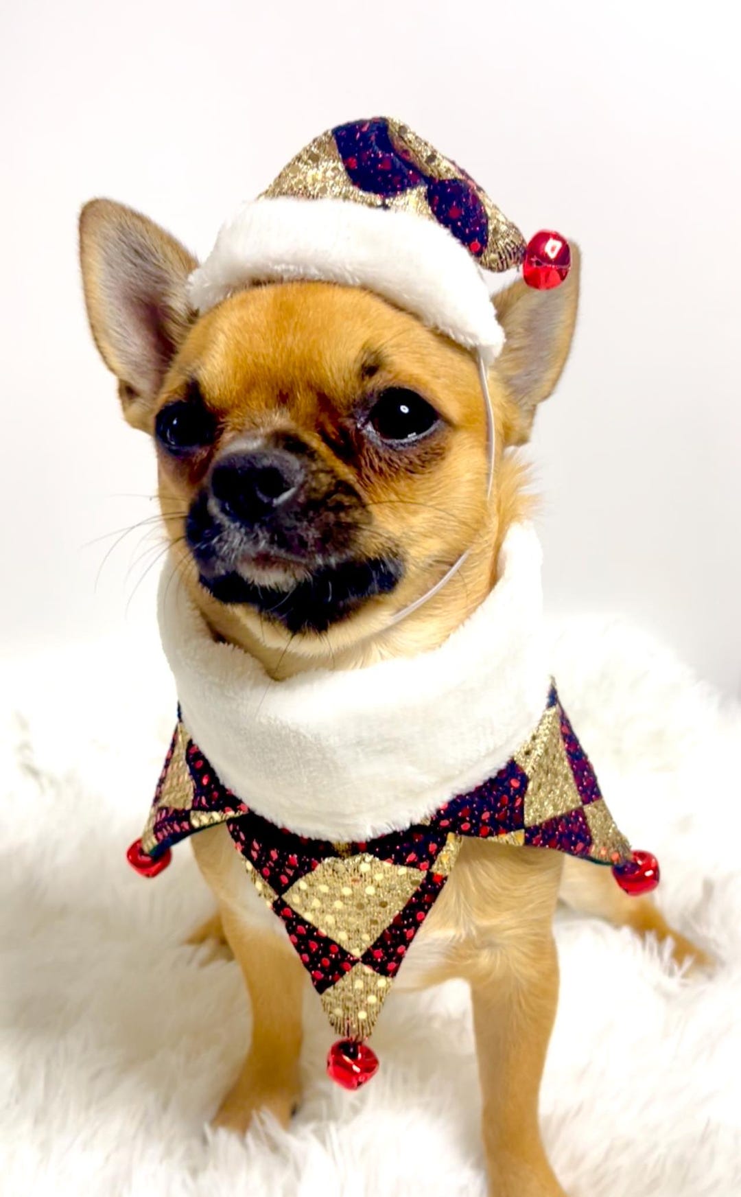 Elf Costume, Dog Elf Costume, Christmas Pet Costume, Christmas Elf Gift ...