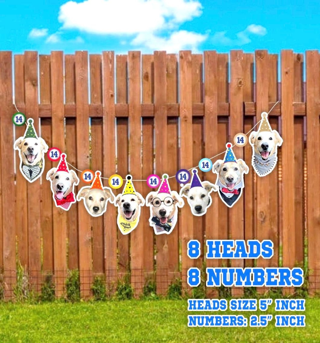 Custom Dog Birthday Banner With Lights: Pet Photo Garland With Party ...